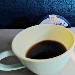 ベトナム航空搭乗記！ハノイ→シェムリアップ(VN931)の感想と座席指定やオンラインチェックインのこと。 | OleaTravel